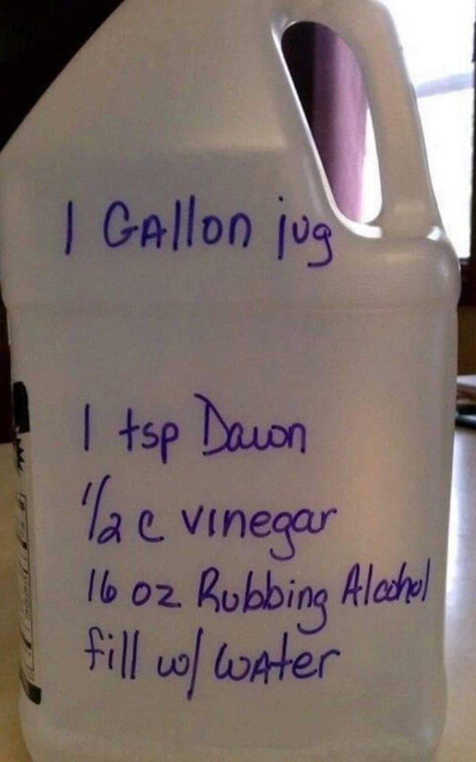 DIY Mold Removal: A Natural Approach to Eliminating and Preventing Mold ...