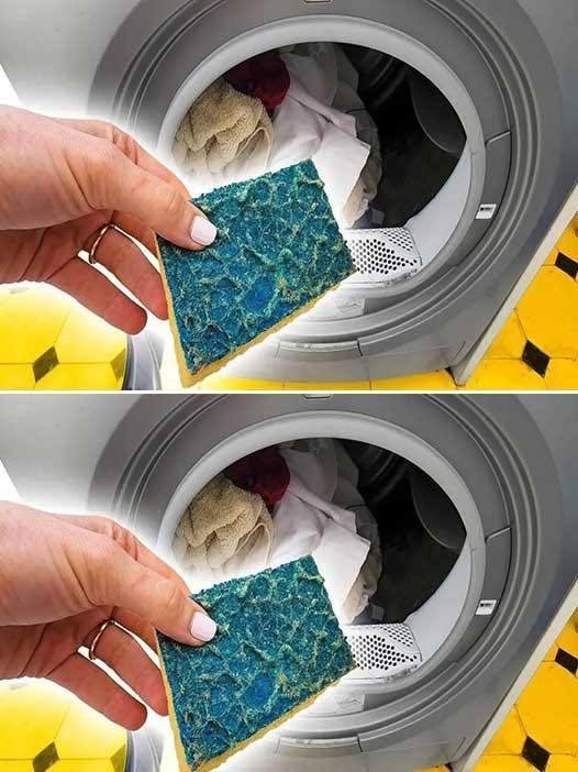 Using a Dish Sponge to Remove Pet Hair from the Washing Machine ...